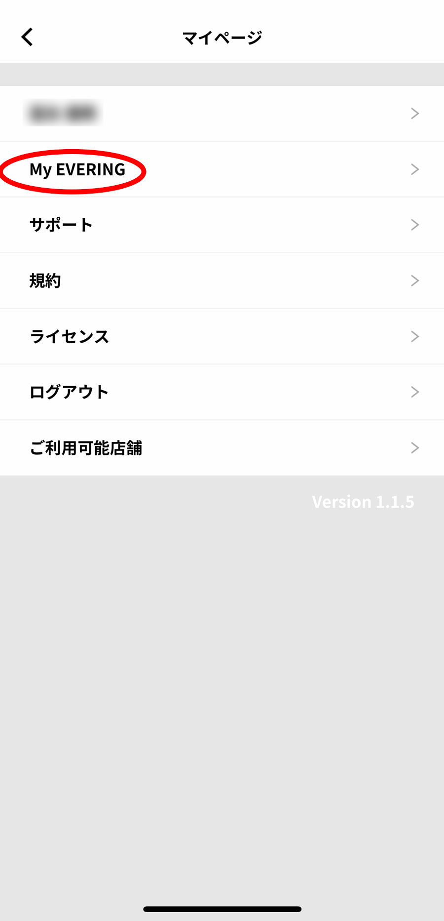 【EVERINGレビュー】決済スピードが課題の指輪型VISAプリペイド | イチガジェ